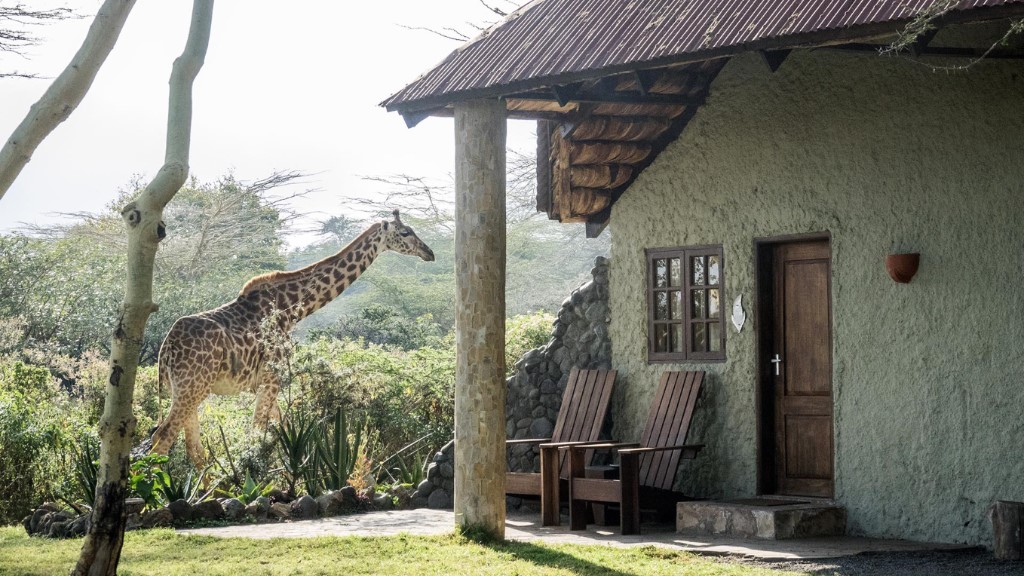 Hatari Lodge aan Mount Meru | Sundowner Wildlife Holidays