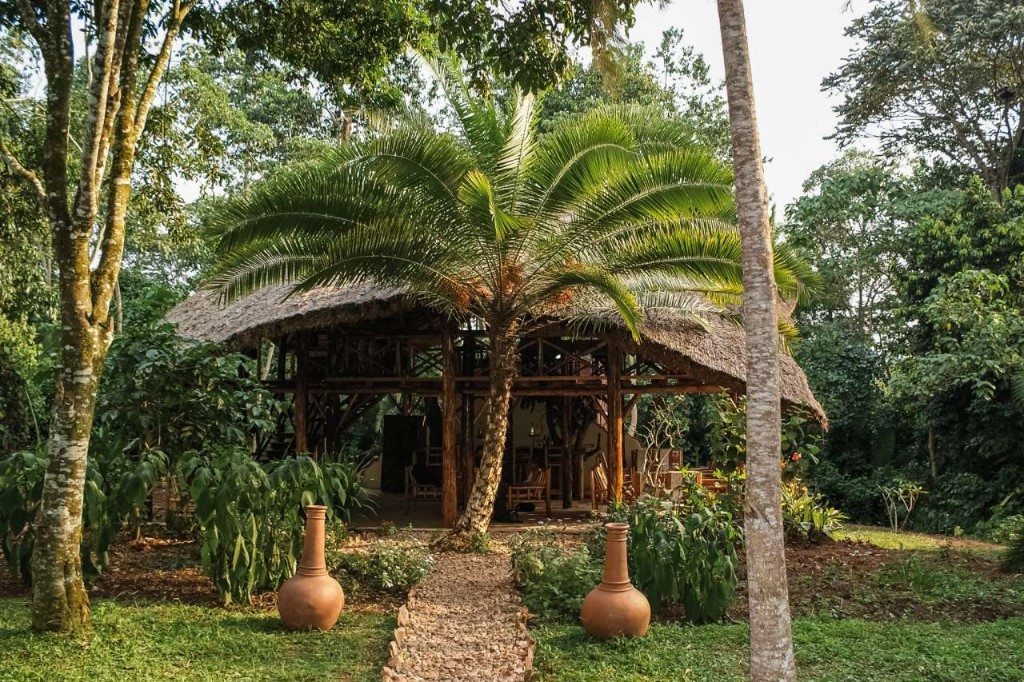 Kibale Forest Camp | Sundowner Wildlife Holidays