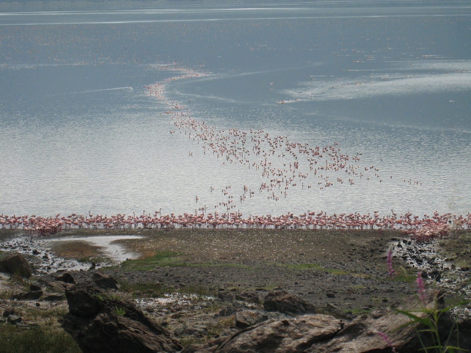 Lake Bogoria National Reserve | Sundowner Wildlife Holidays