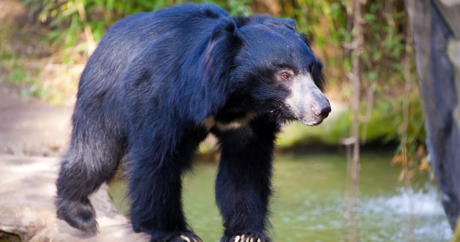 Prachtig land | Sundowner Wildlife Holidays