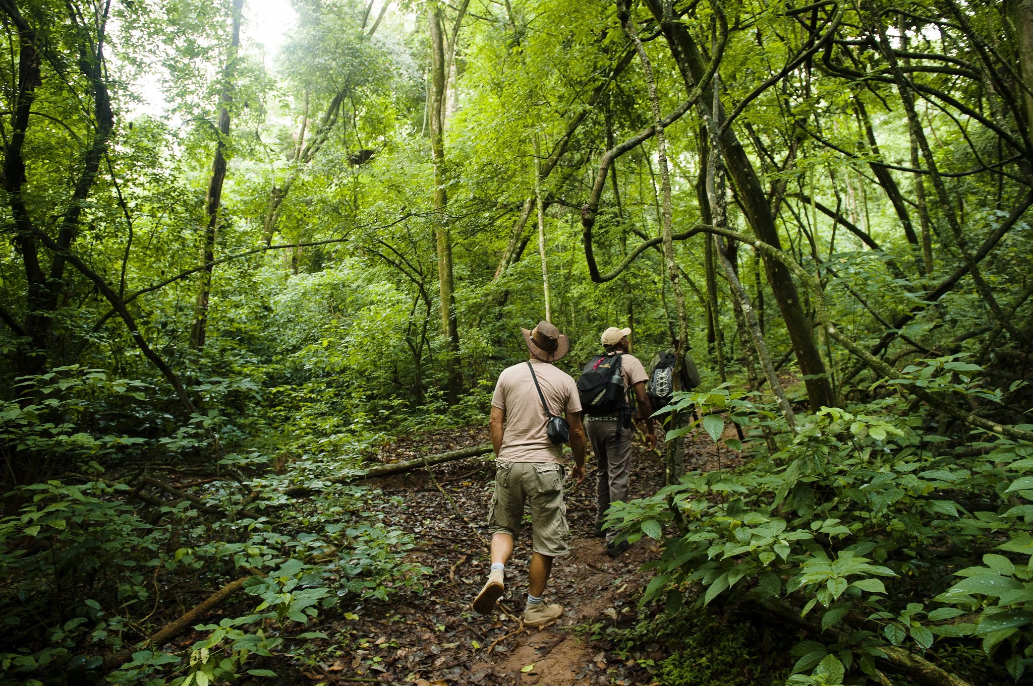 Rubondo Island National Park | Sundowner Wildlife Holidays