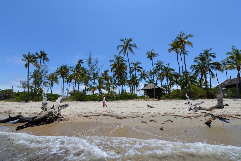 Saadani National Park | Sundowner Wildlife Holidays