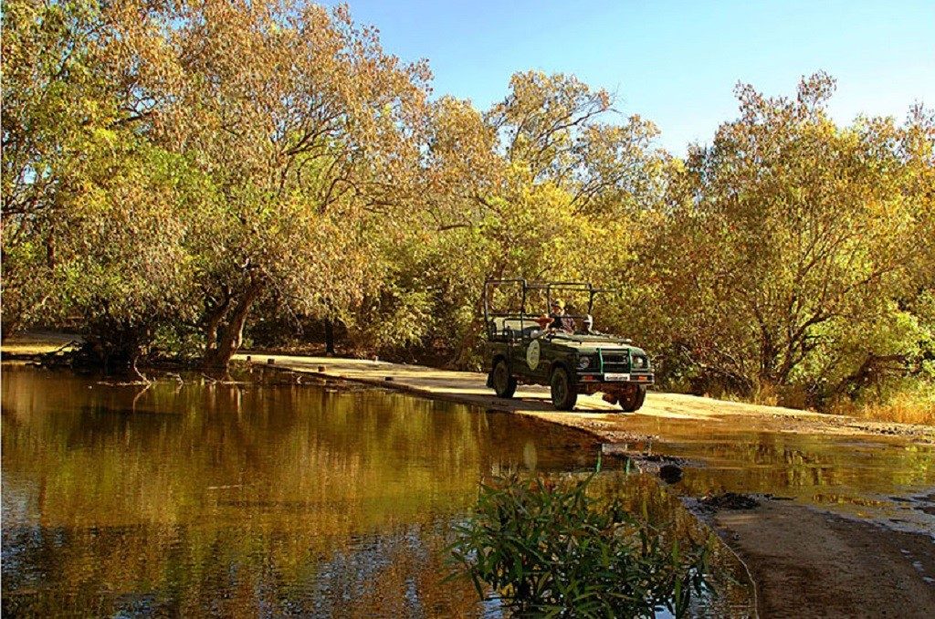 Sasan Gir National Park | Sundowner Wildlife Holidays